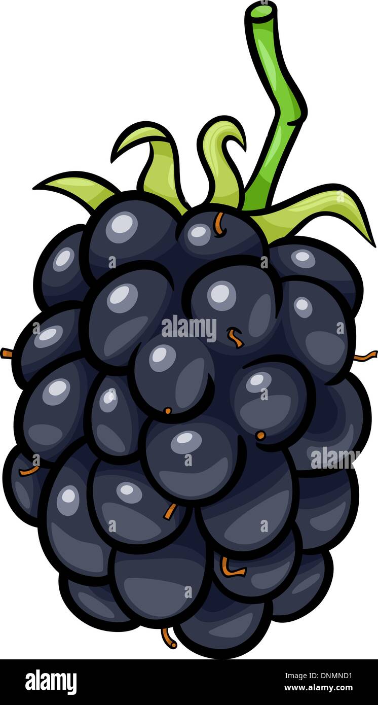 Cartoon Illustration of Blackberry Berry Fruit Food Object Stock Vector ...