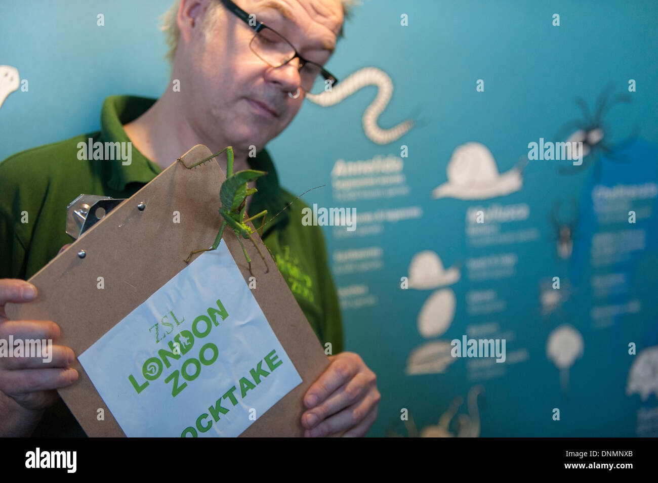 ZSL, London Zoo, Regents Park, UK. 2nd Jan, 2014 . The annual ISS ...
