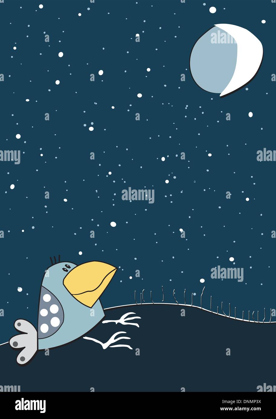 Bird at night Stock Vector Image & Art - Alamy