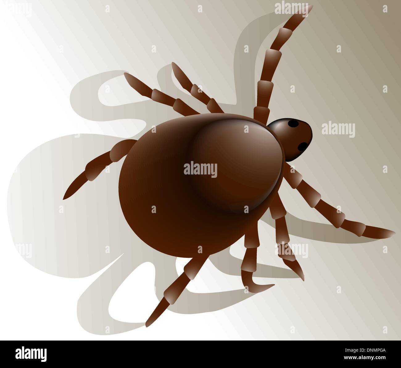 Tick bite Stock Vector Images - Alamy