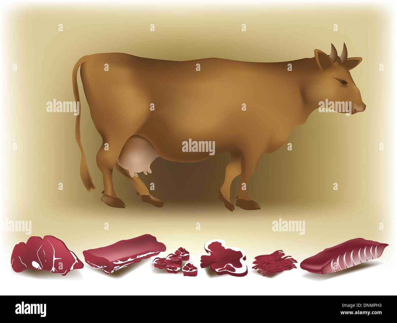 Ground beef cooking Stock Vector Images - Alamy