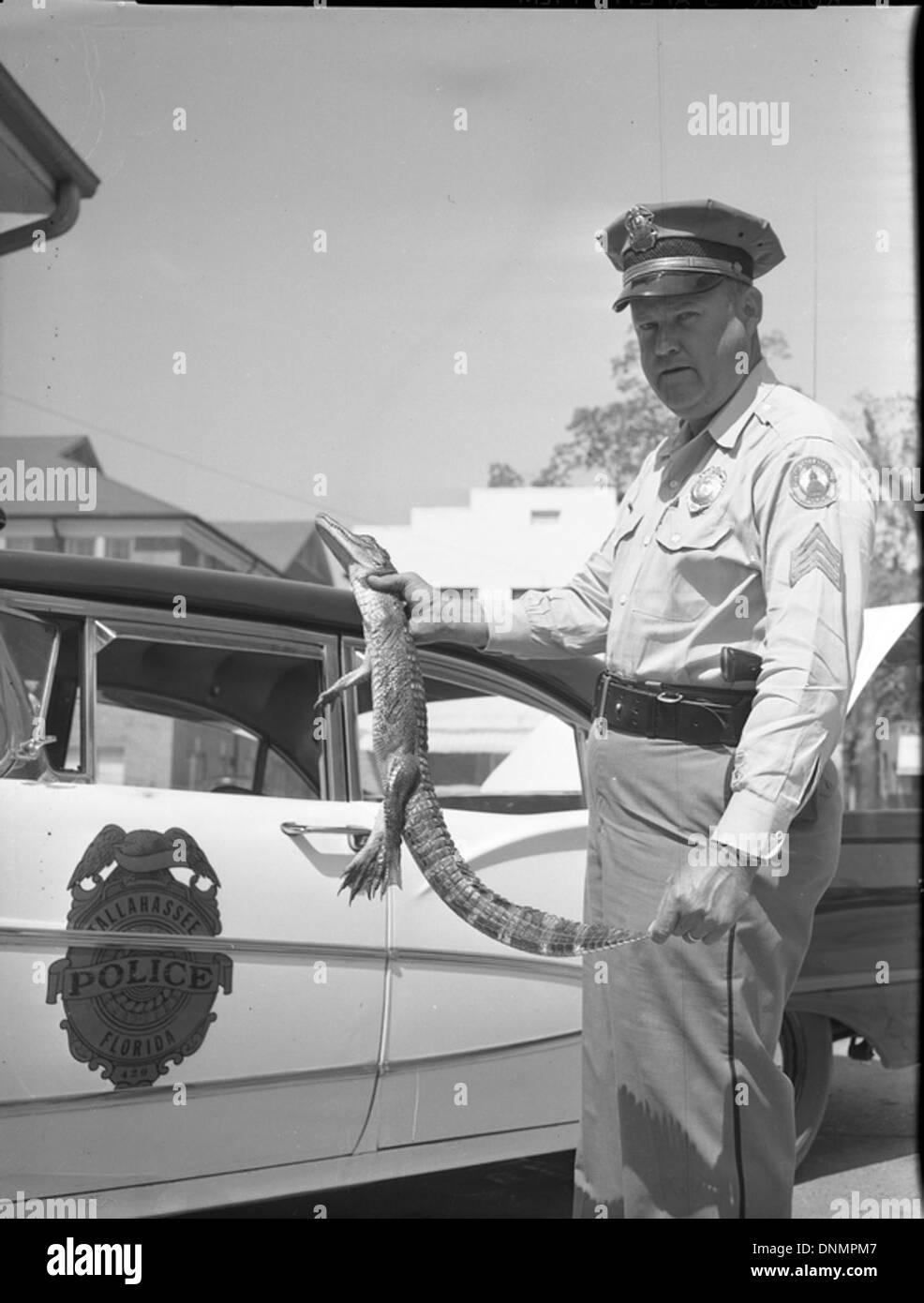 1950s police Black and White Stock Photos & Images - Alamy