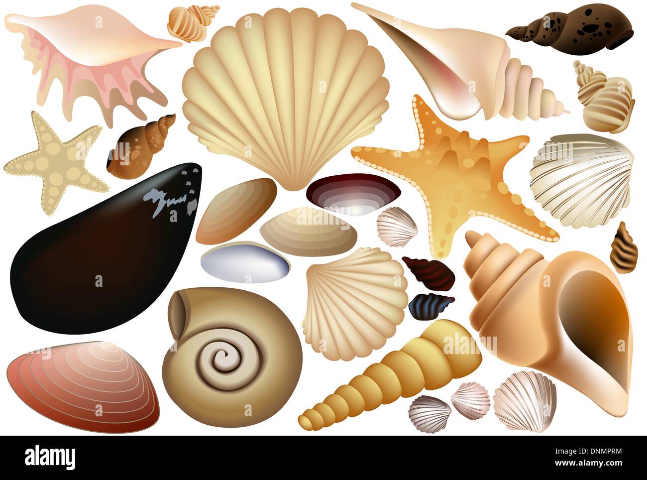 Aquarium souvenir Stock Vector Images - Alamy