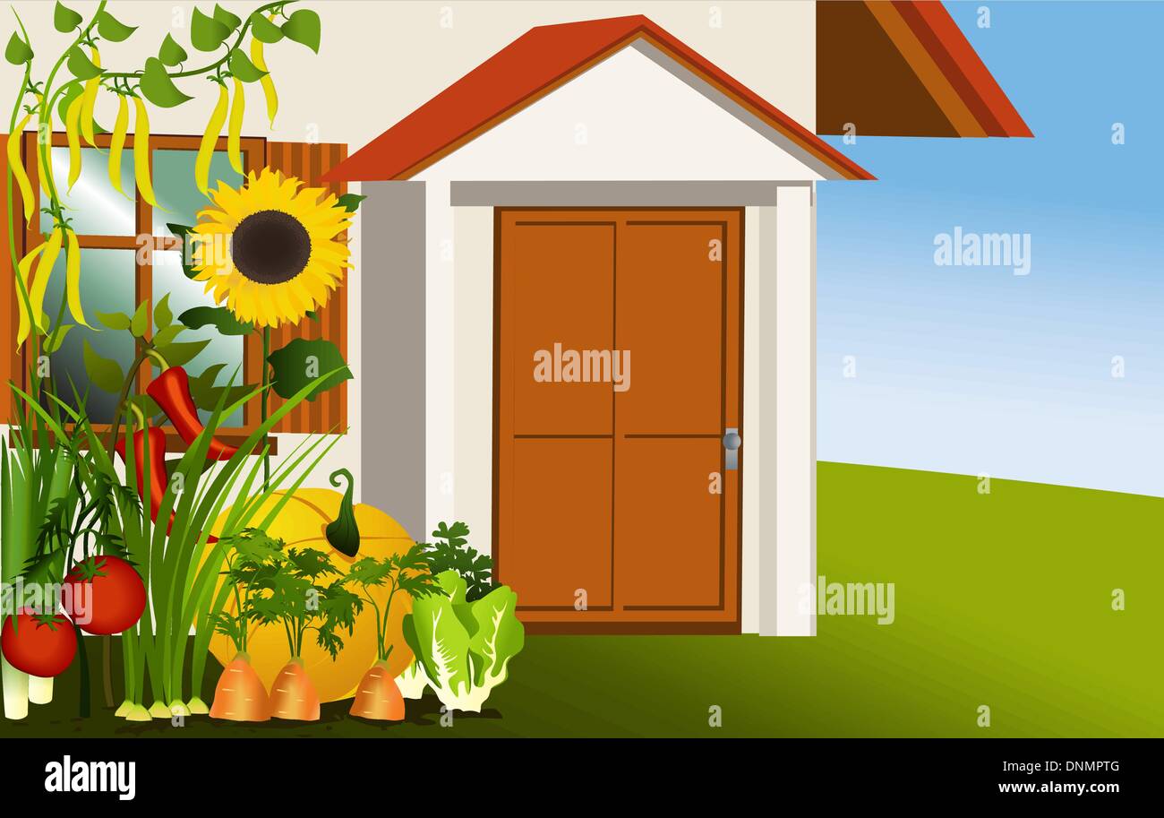 Cultivate vegetable Stock Vector Images - Alamy