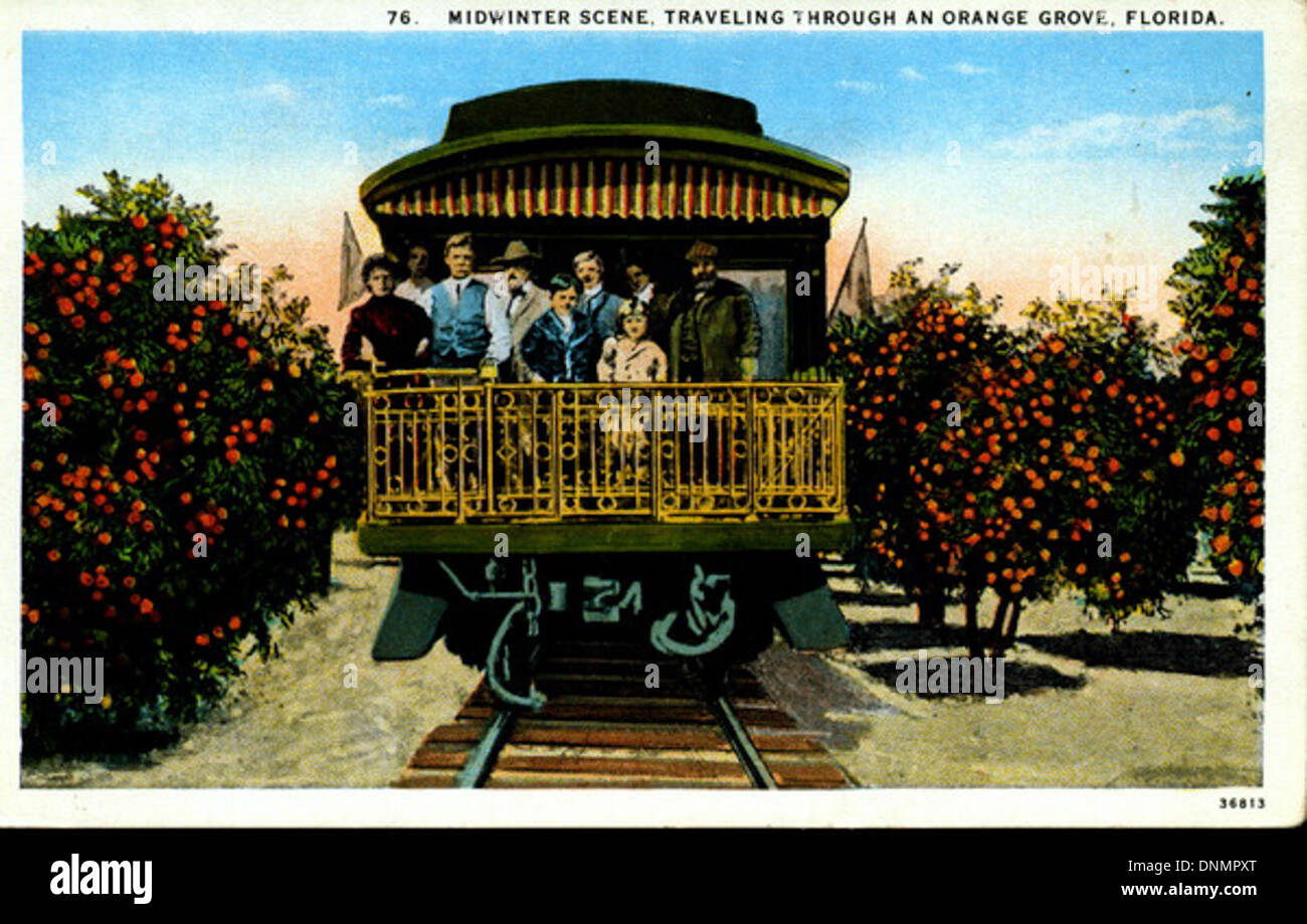 Postcard of an orange grove hi-res stock photography and images - Alamy