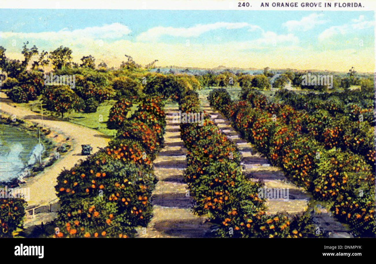 Florida 1920s hi-res stock photography and images - Alamy