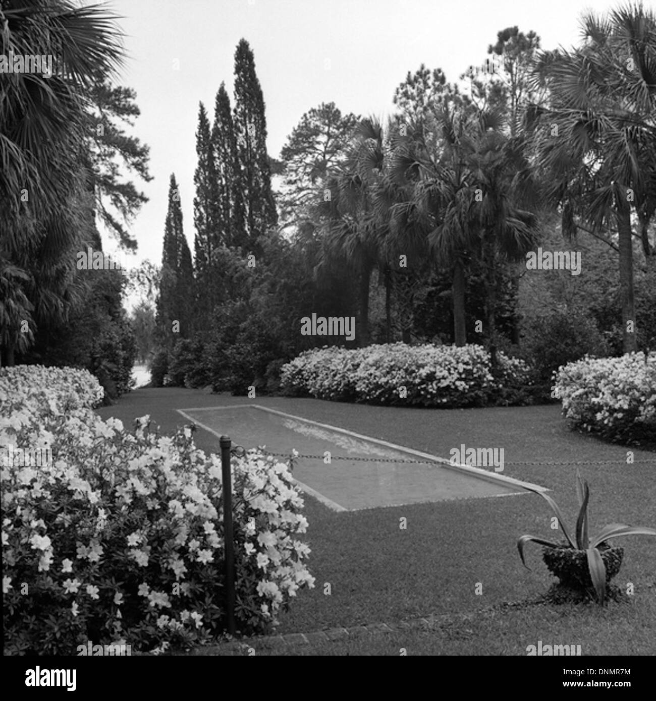 Maclay gardens state park hi-res stock photography and images - Alamy
