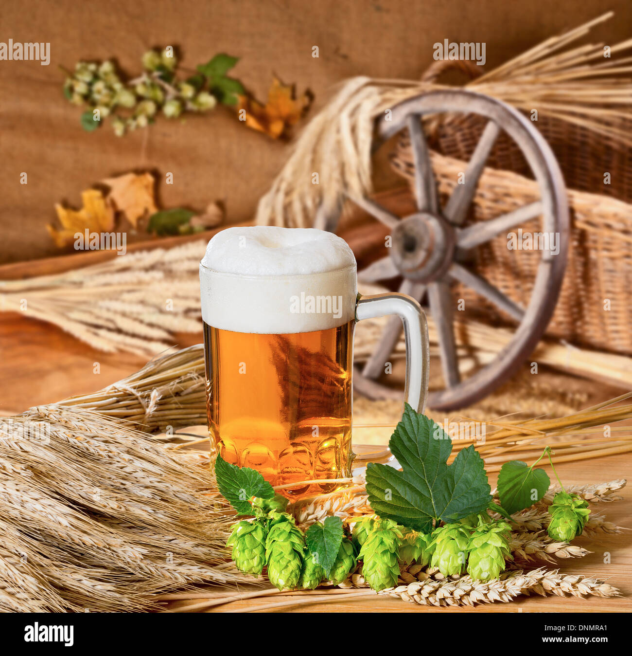 still life with beer and raw material for beer production Stock Photo ...