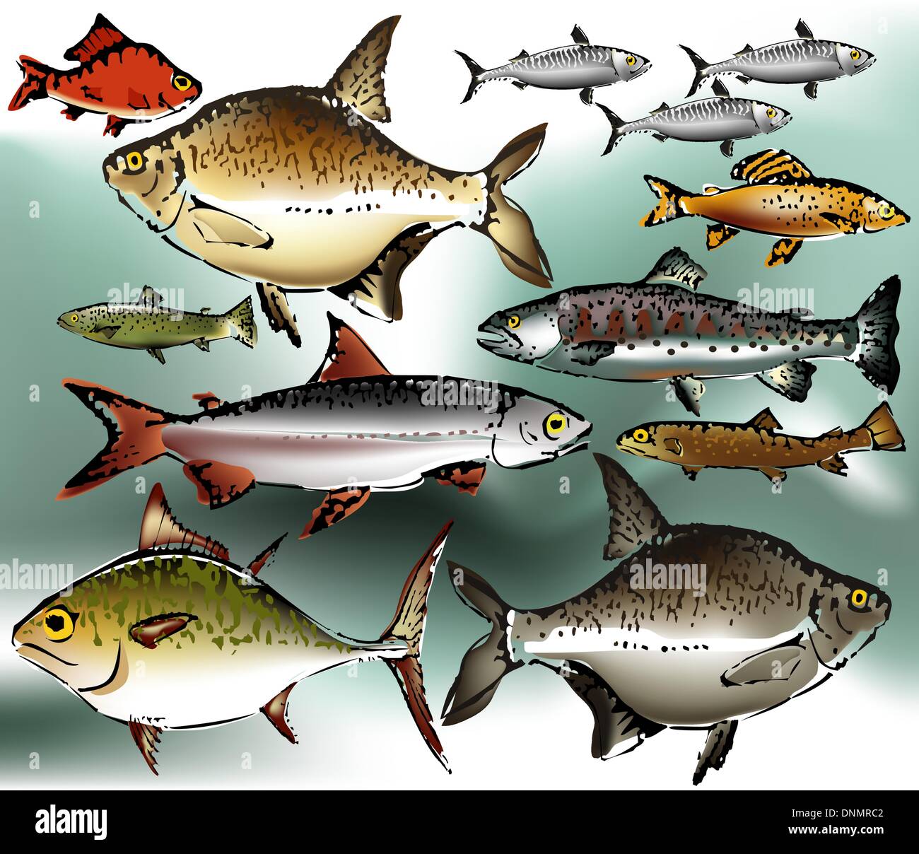 Fish preparing Stock Vector Images - Alamy