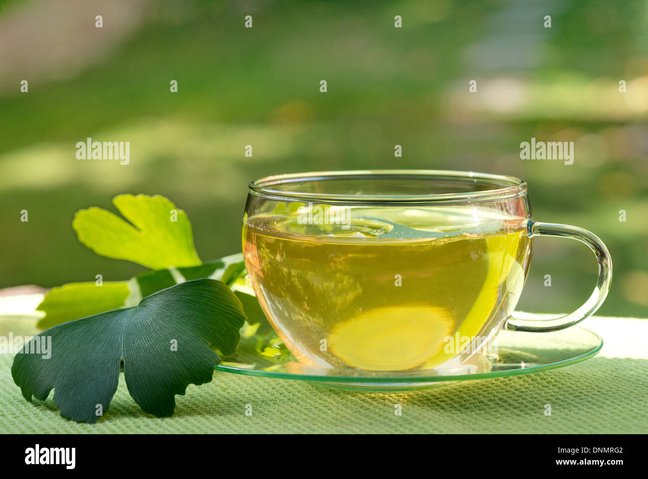 tea with herbaceous plant Stock Photo - Alamy