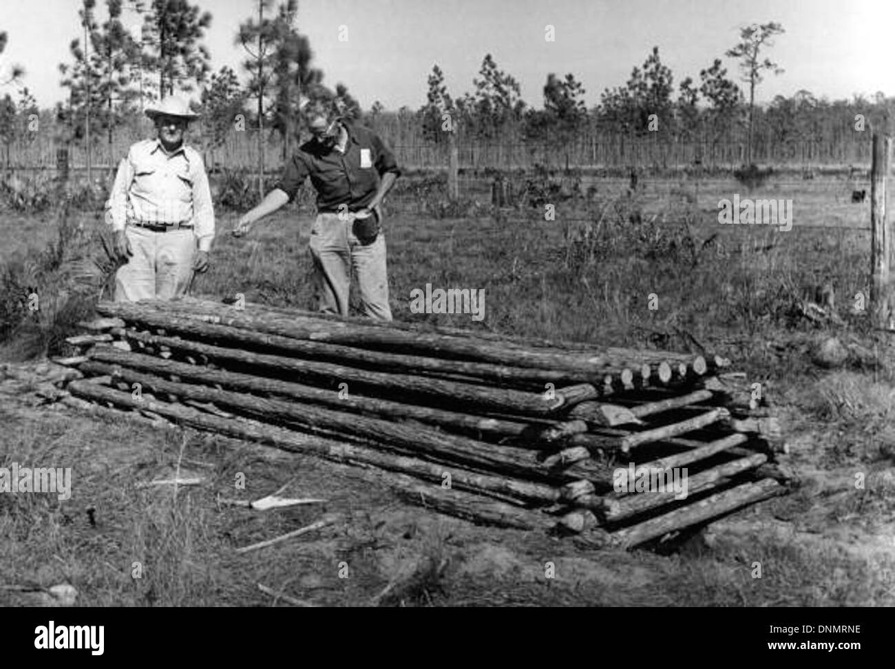 Used to catch hi-res stock photography and images - Alamy