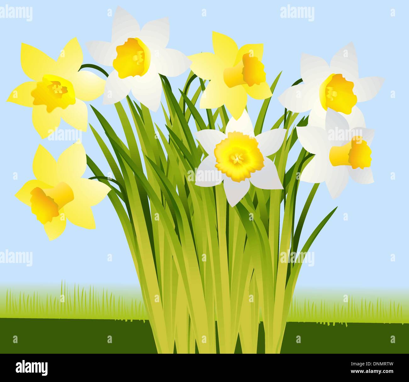 Spring plants flowers Stock Vector Images - Alamy