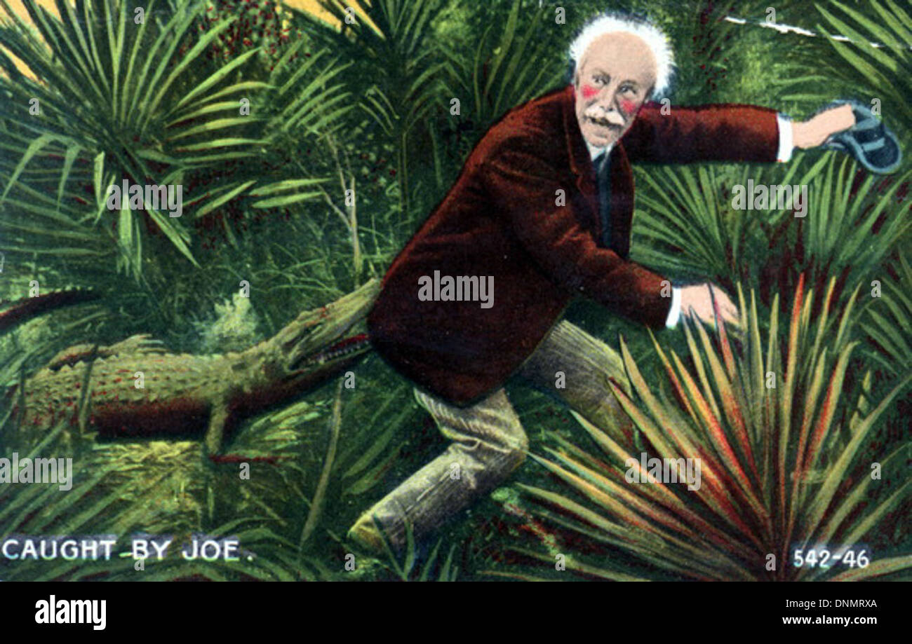 This vintage postcard from the early 1900s depicts an American ...