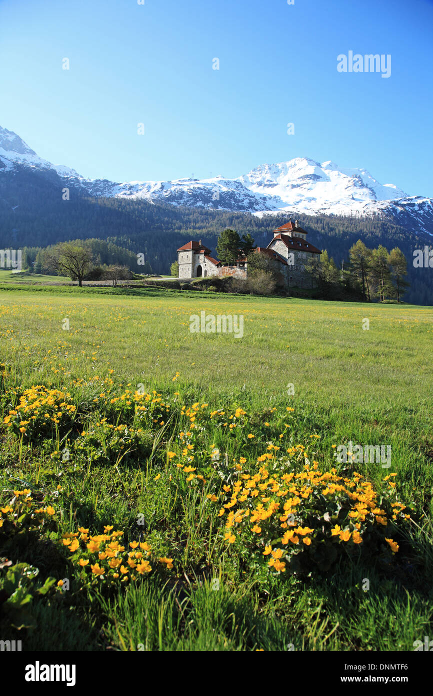 Switzerland, Canton Graubunden, Ober-Engadin, Surlej Stock Photo - Alamy