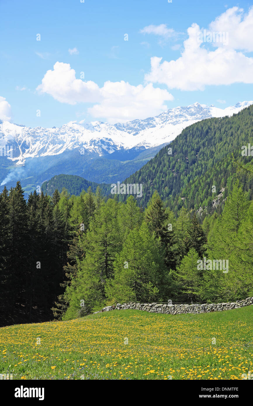 Switzerland, Canton Graubunden, Poschiavo Valley Stock Photo - Alamy