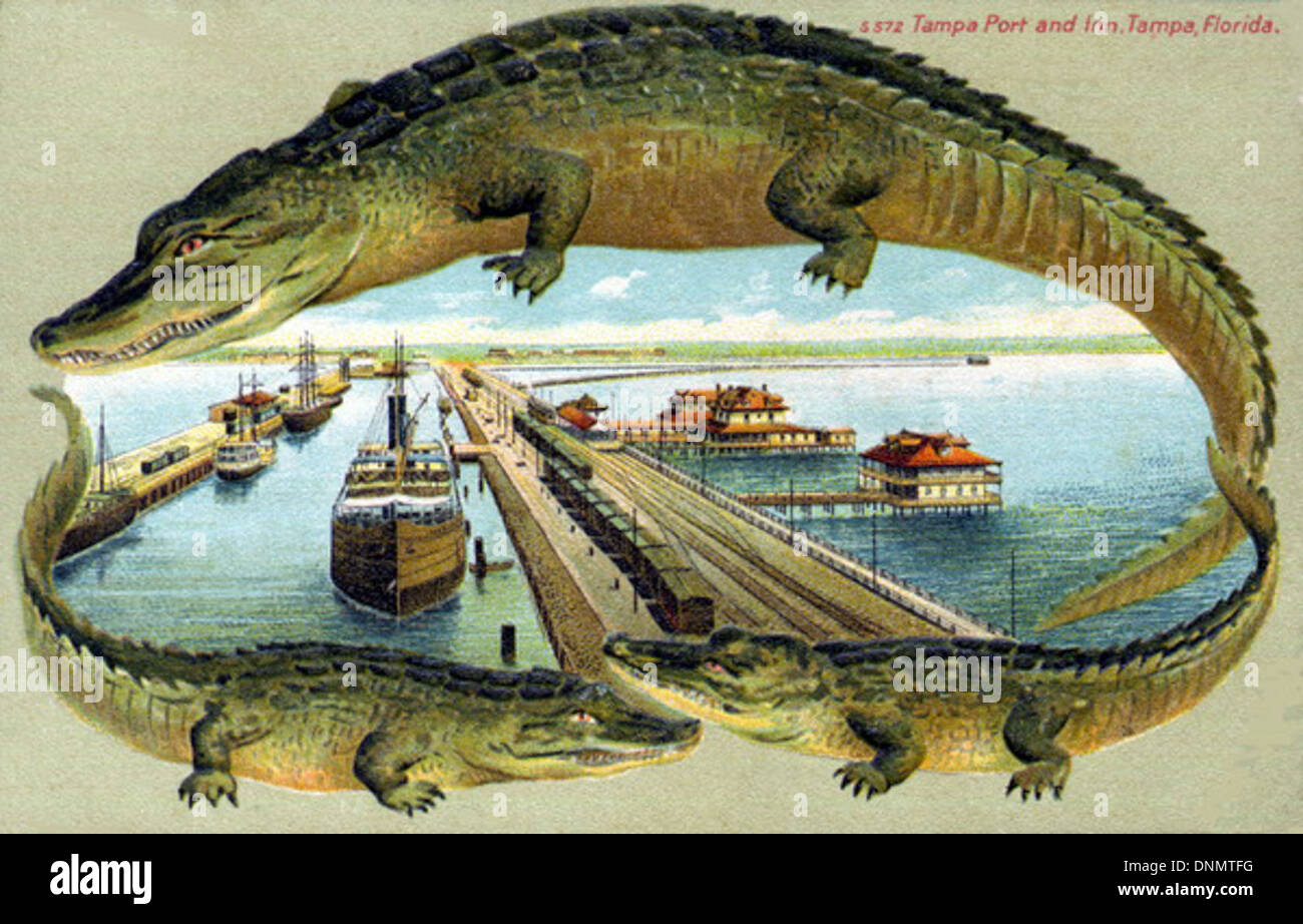 A postcard from the early 1900s shows Tampa Port and Inn, with views of ...