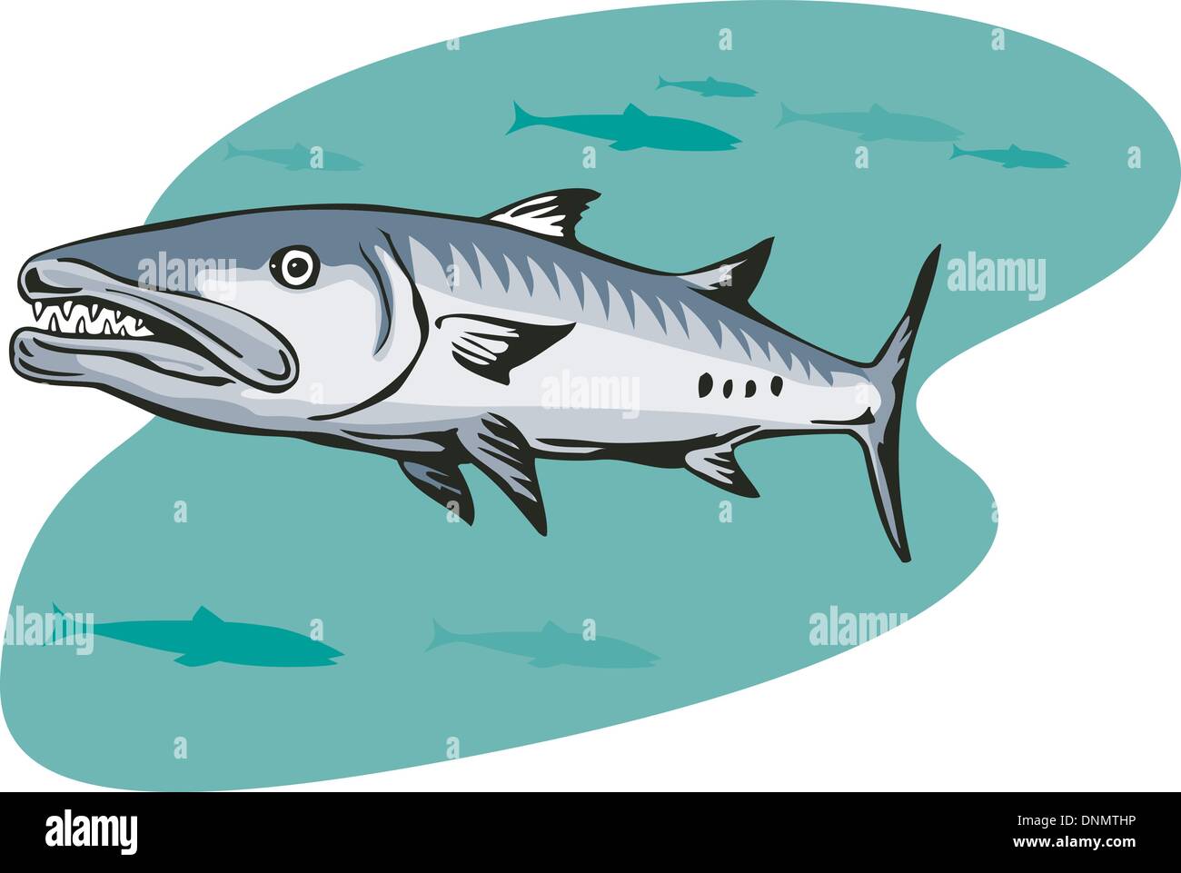 Barracuda Cartoon