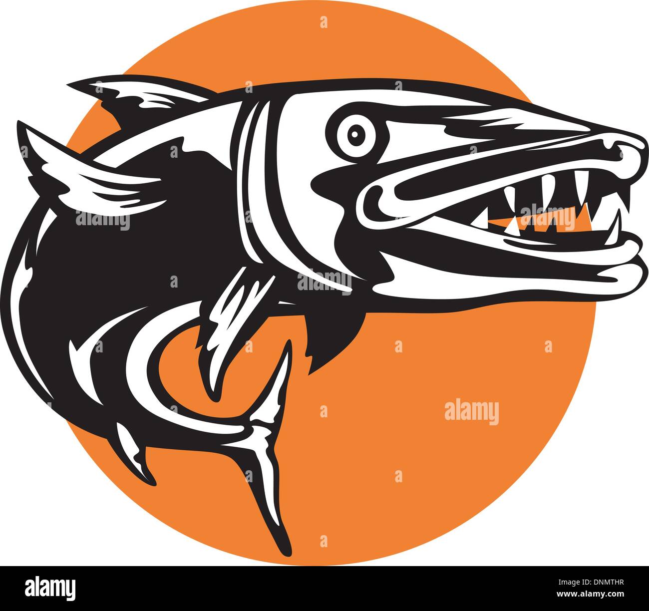 Barracuda Mascot Logo