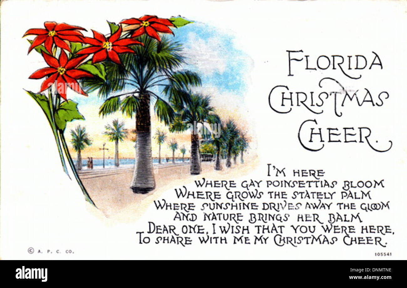 A postcard from the 1920s capturing the festive spirit of Florida ...