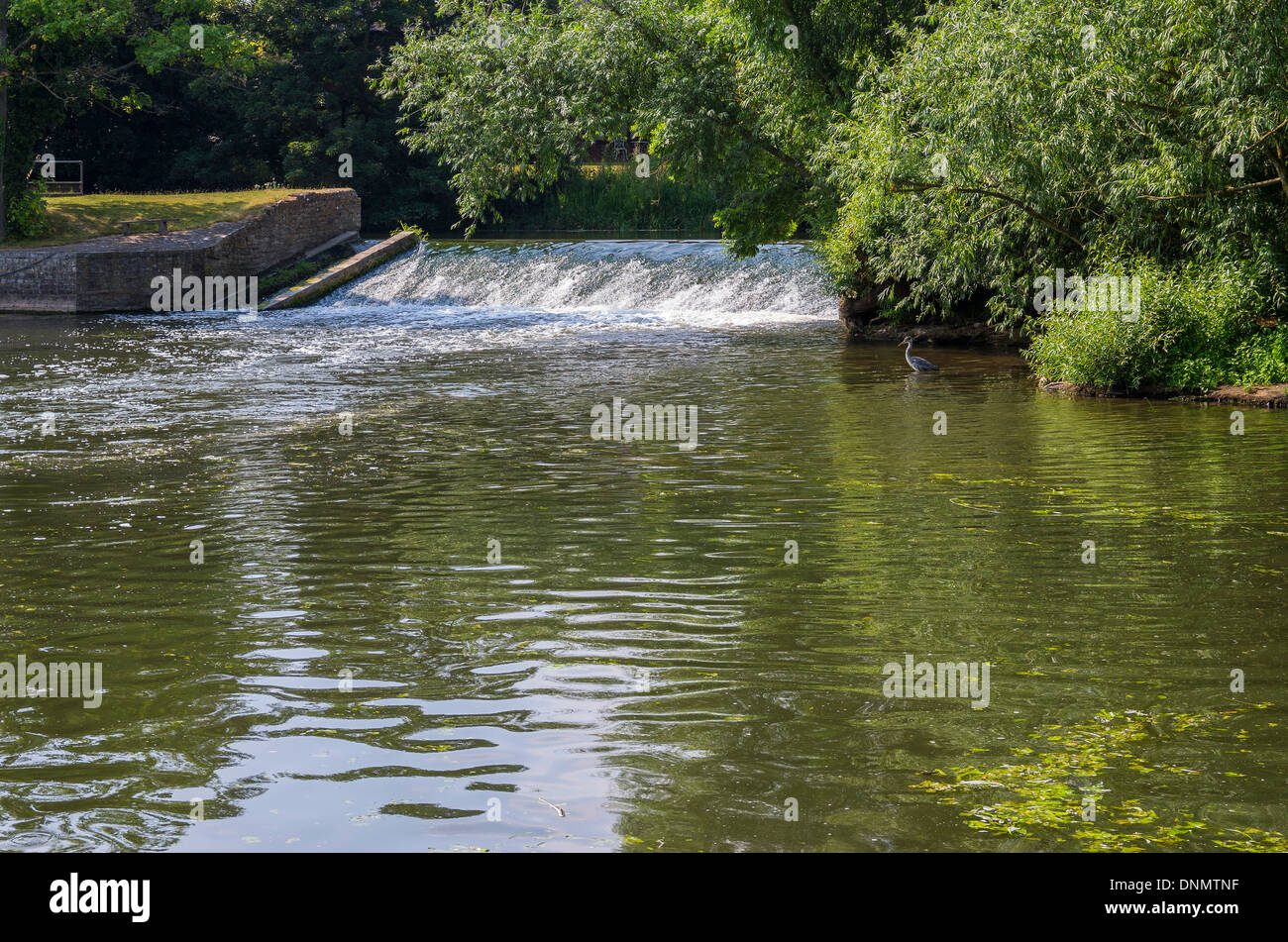 river avon stratford upon avon warwickshire england uk Stock Photo - Alamy