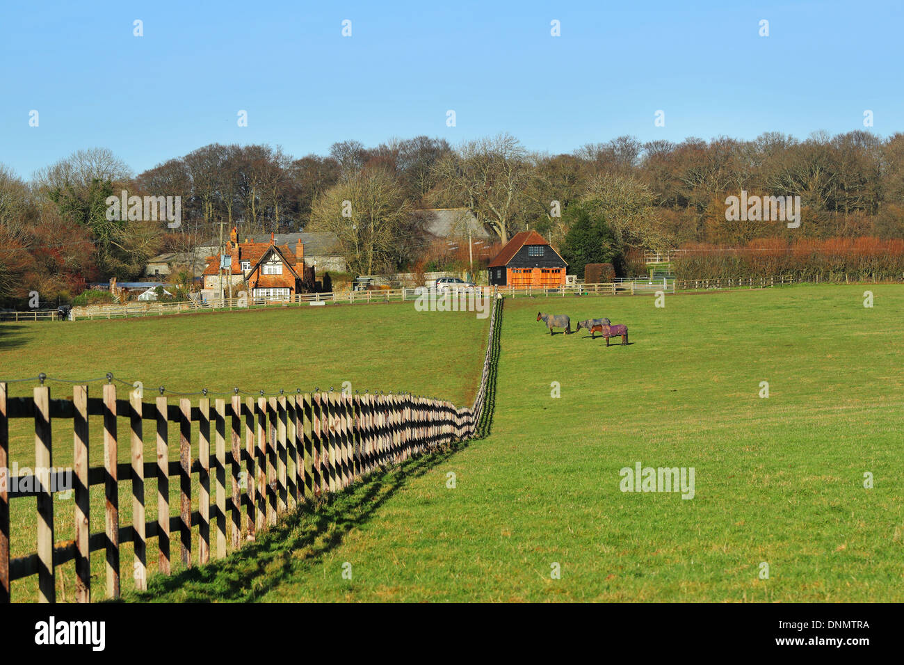 An English Rural Landscape in the Chiltern Hills with grazing horses ...