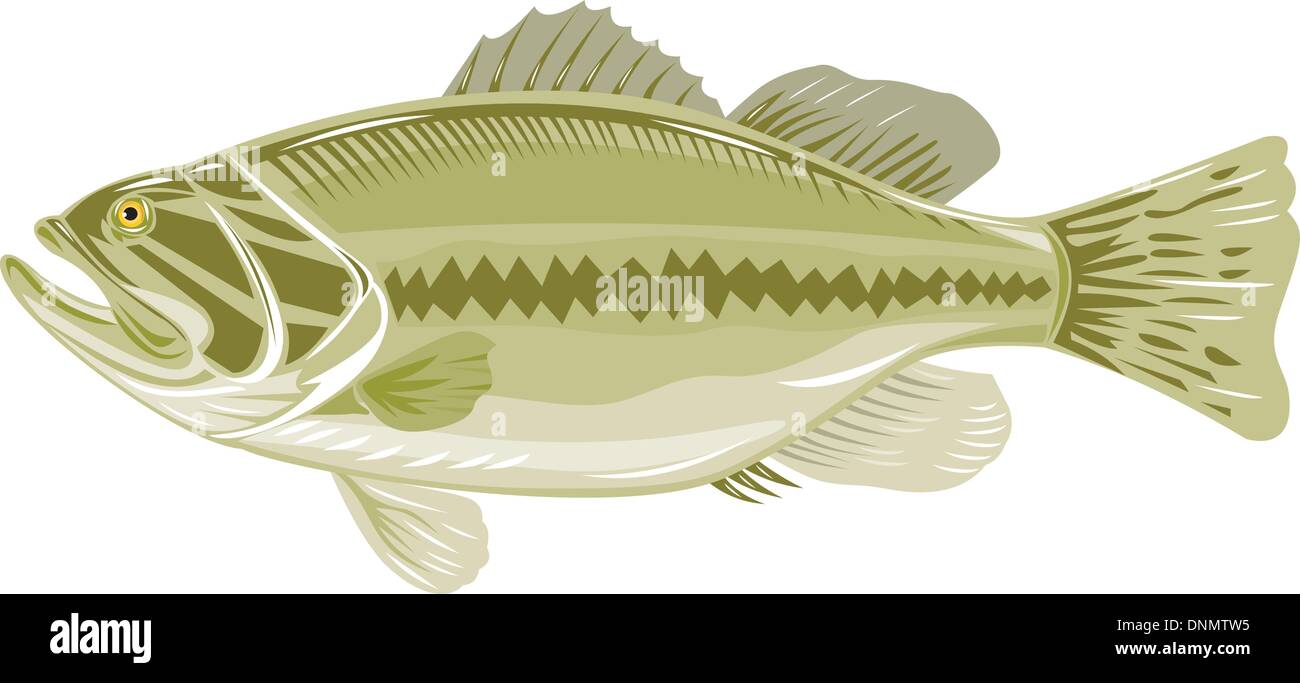illustration of a black sea bass side view woodcut style Stock Vector ...