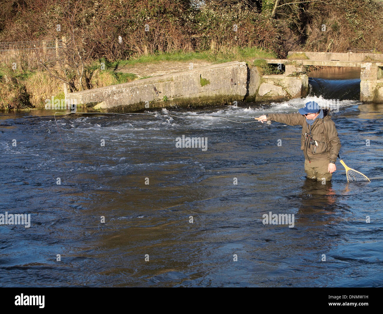 Angling for coarse fish hi-res stock photography and images - Alamy