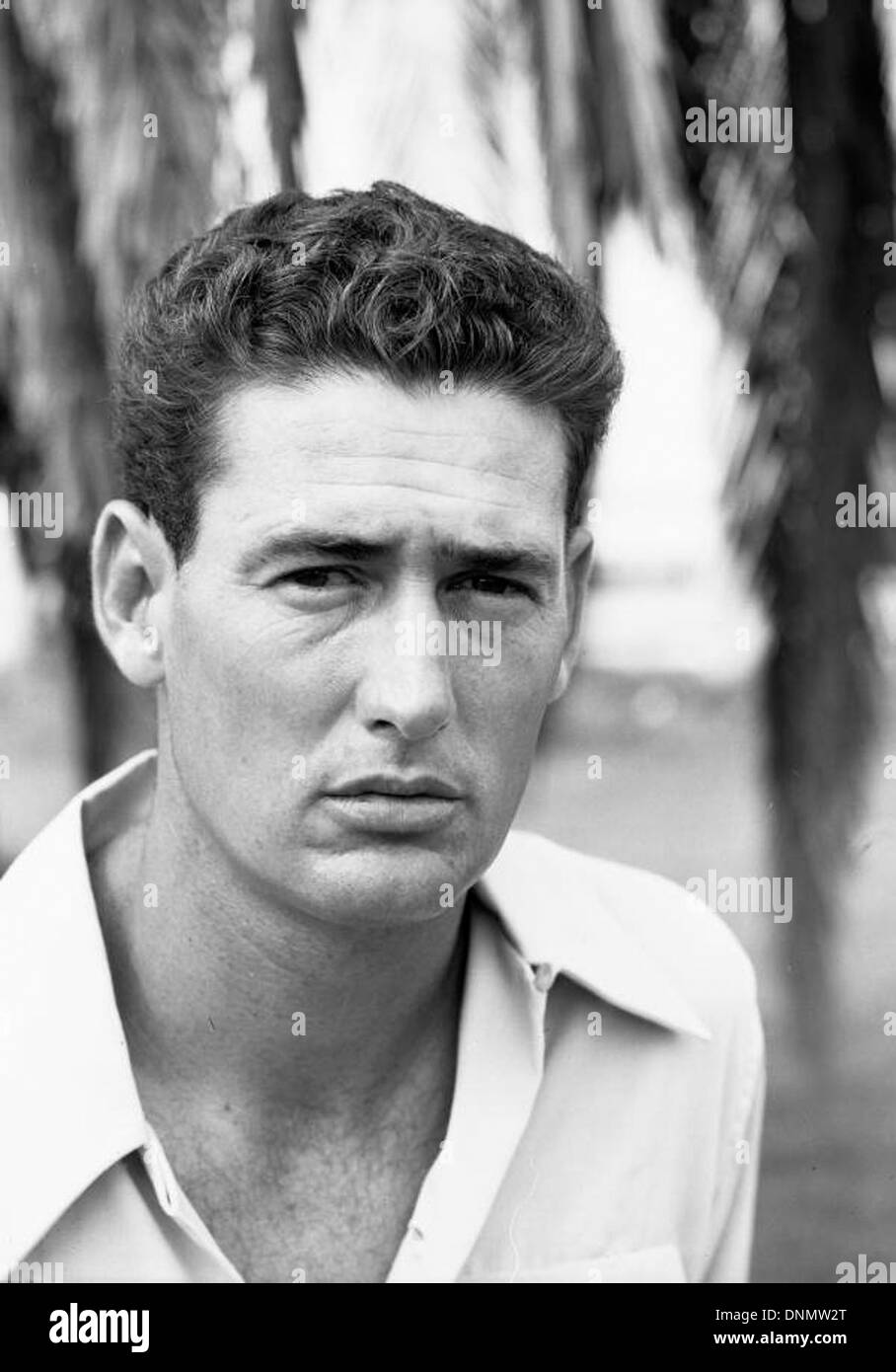 Ted williams hi-res stock photography and images - Alamy