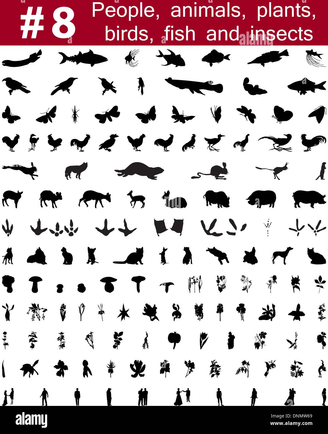 Collage animals insects Stock Vector Images - Alamy