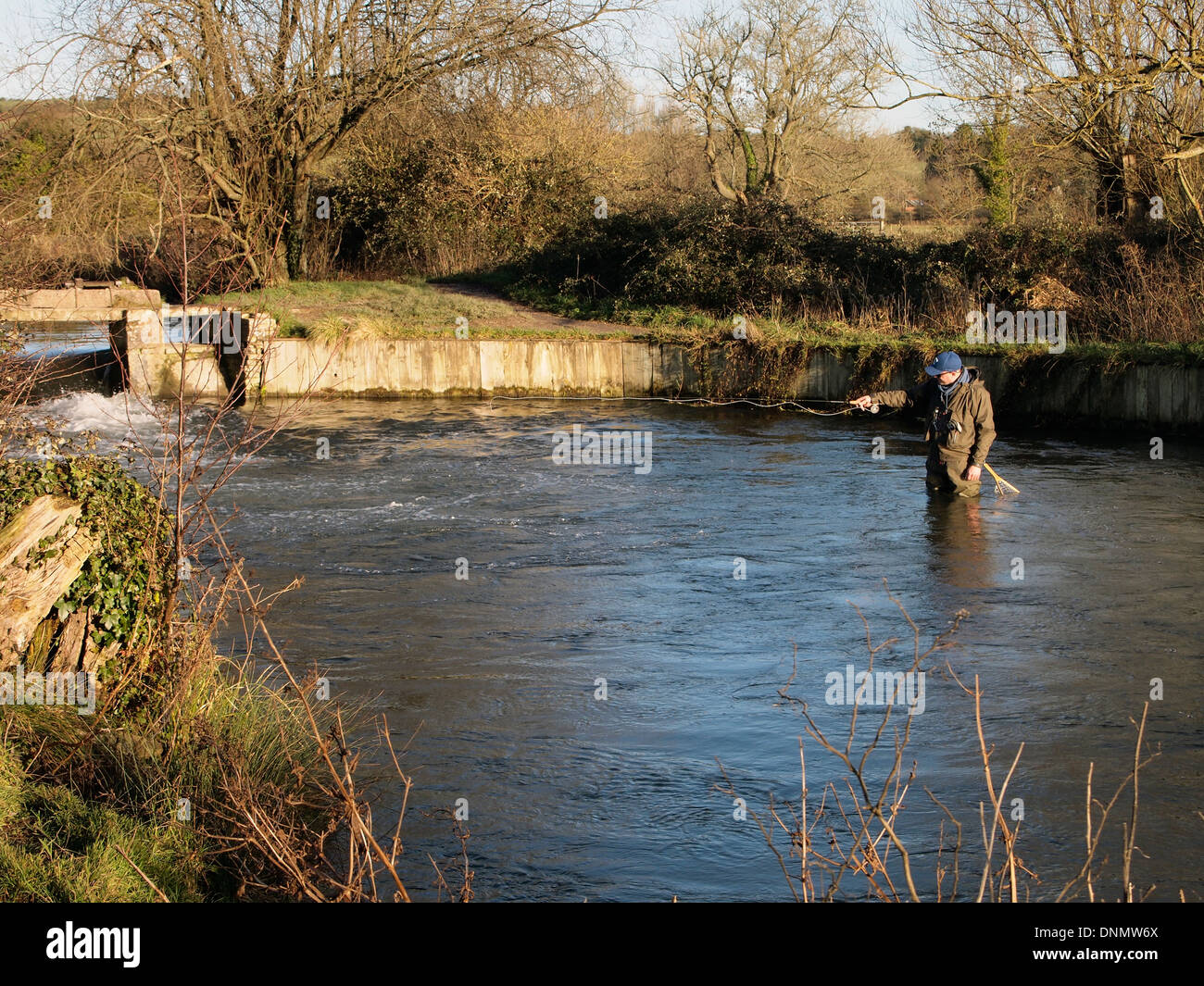 Freshwater fishing england fish hi-res stock photography and images - Alamy