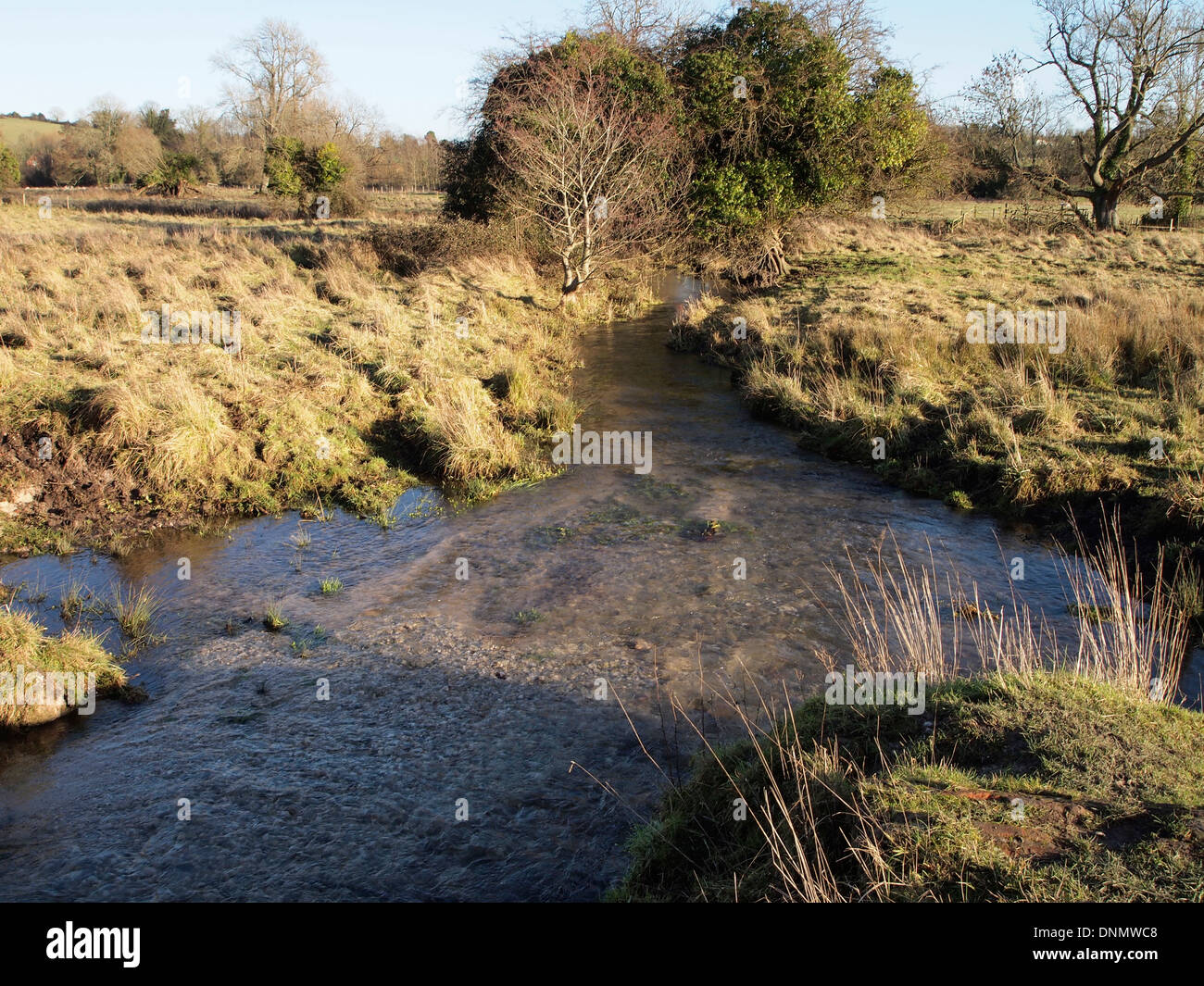 Stream on water meadows (floodplain) near Shawford, Hampshire taking ...