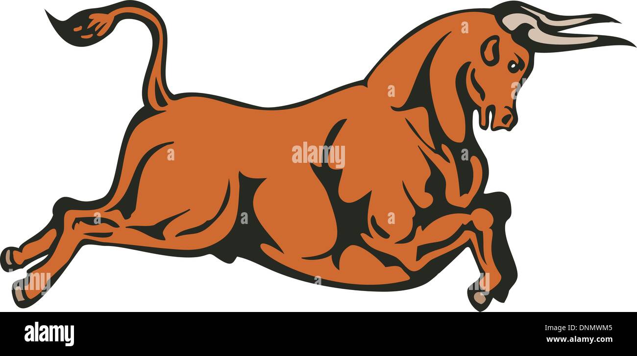 Illustration of a raging bull charging attacking on isolated white ...