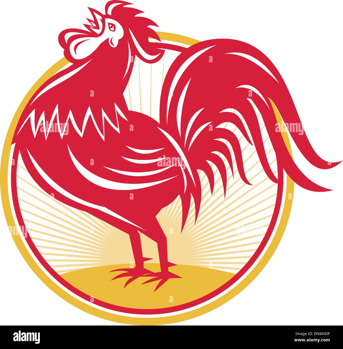 Illustration of a rooster cockerel crowing facing side set inside ...