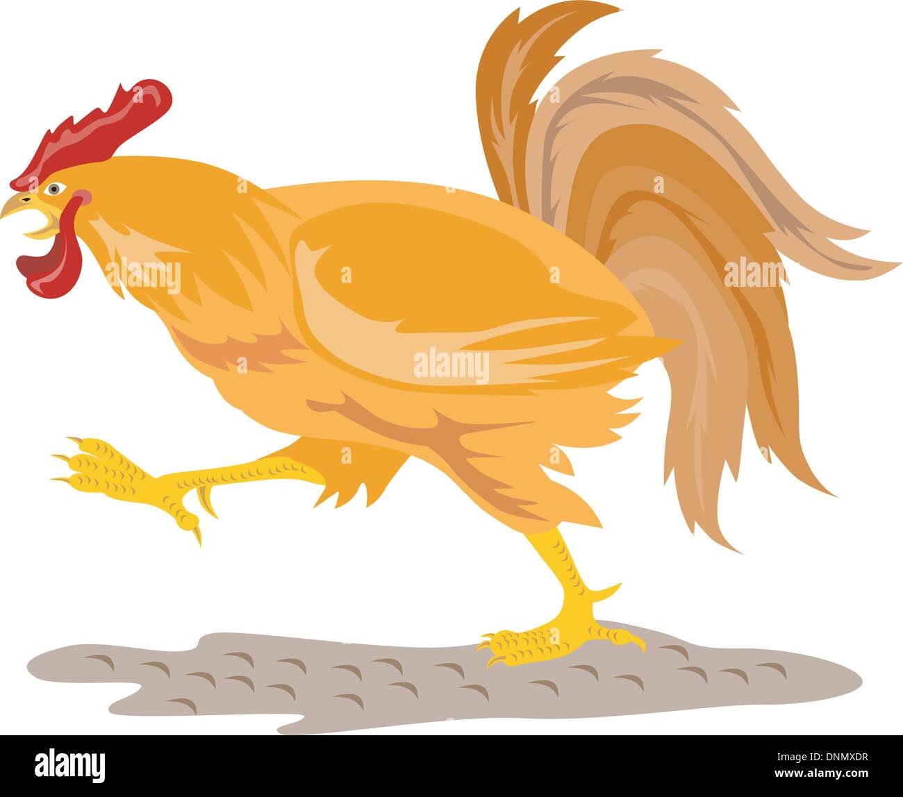 Illustration of a rooster cockerel head facing side set inside an oval ...