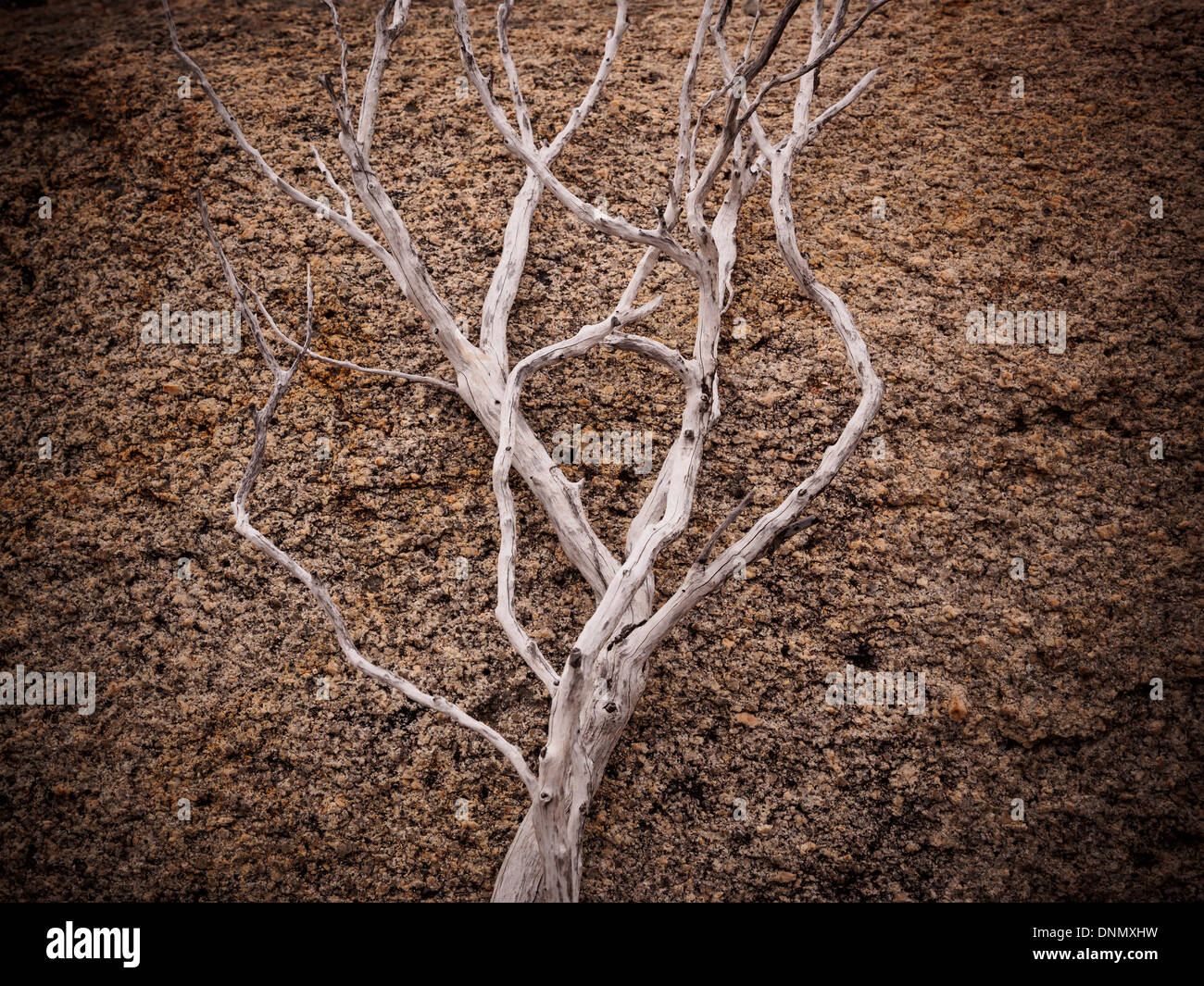 Natural sculpture of wood and stone Stock Photo - Alamy