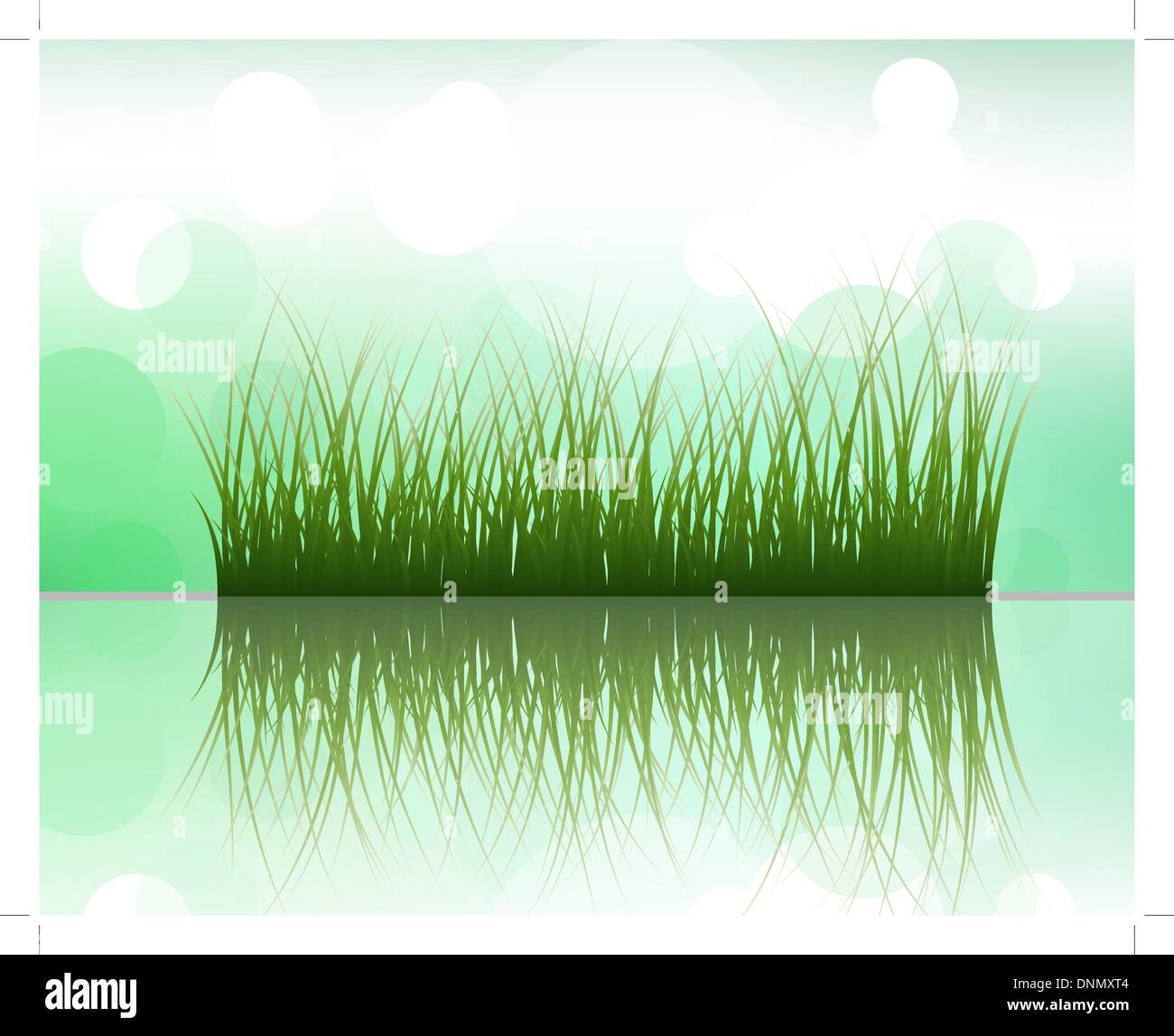Leaf patterns to trace Cut Out Stock Images & Pictures - Alamy