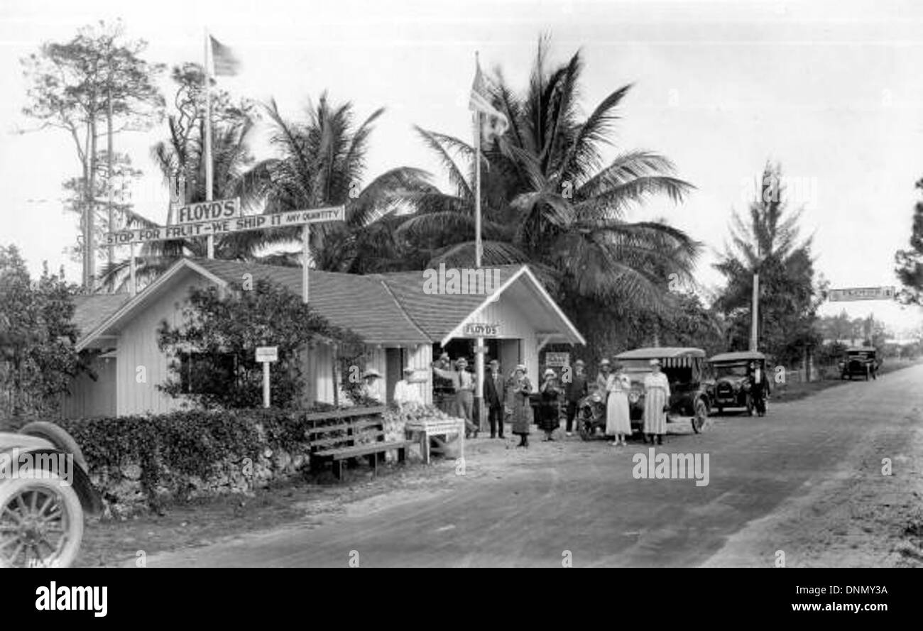 A roadside citrus stand in Miami, Florida, during the 1920s, showcasing ...