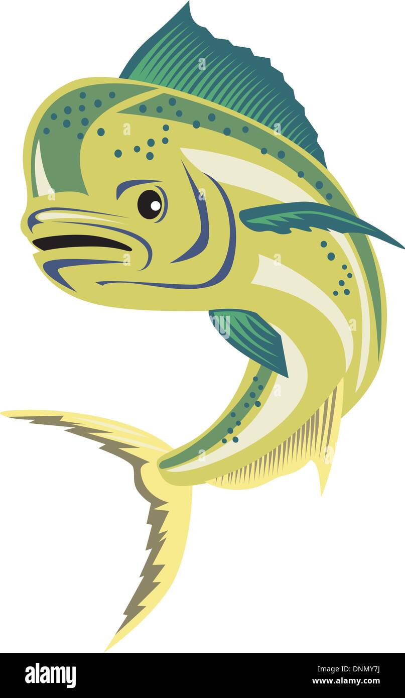 illustration of a dorado dolphin fish mahi-mahi jumping on isolated ...