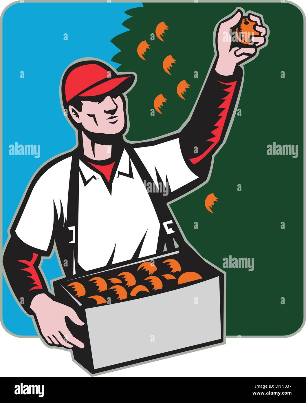 Illustration of a fruit picker worker picking plum fruit done in retro ...