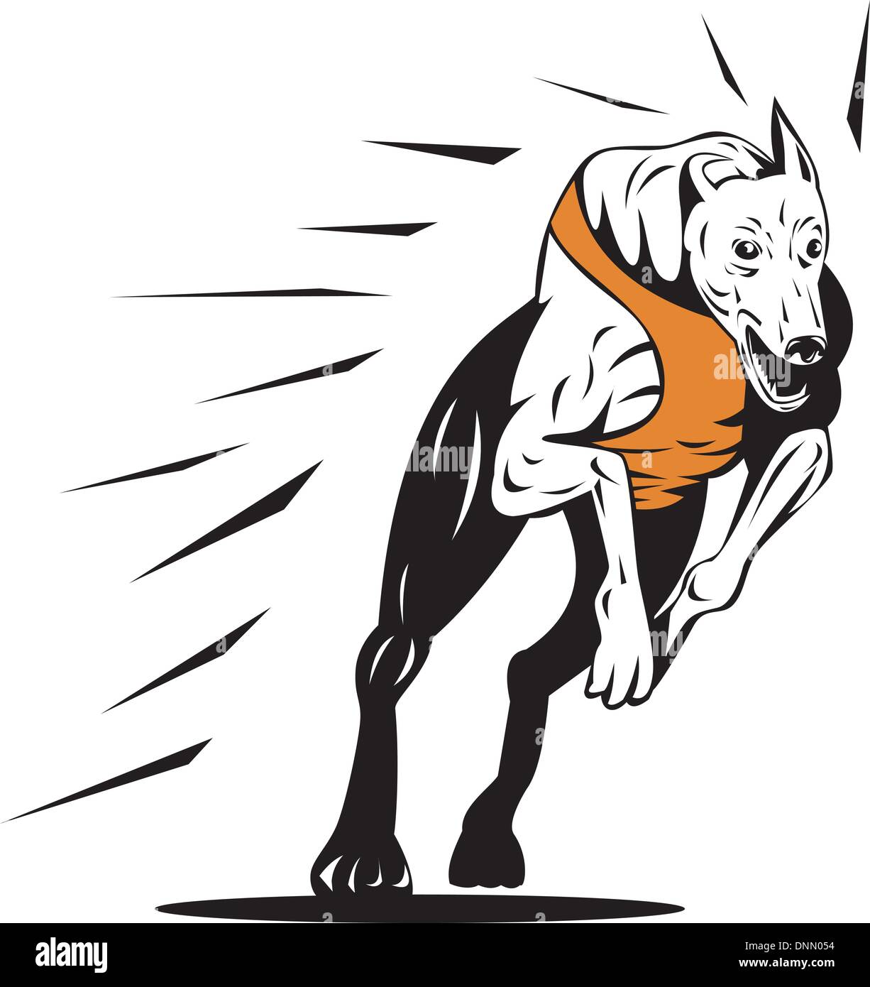 Greyhound vector vectors hi-res stock photography and images - Alamy