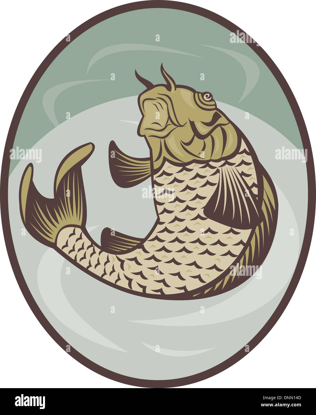 Koi carp fish jumping hi-res stock photography and images - Alamy