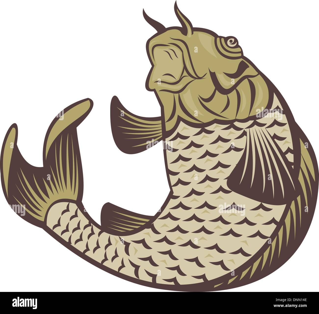 Leaping carp Stock Vector Images - Alamy