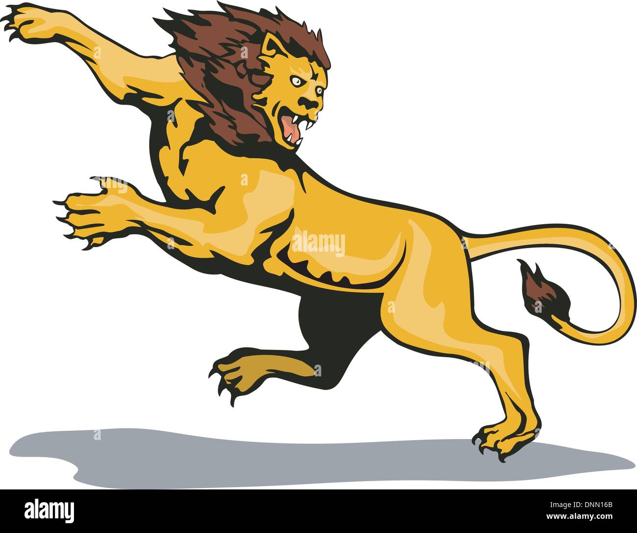 Illustration of a lion attacking looking behind isolated on white ...