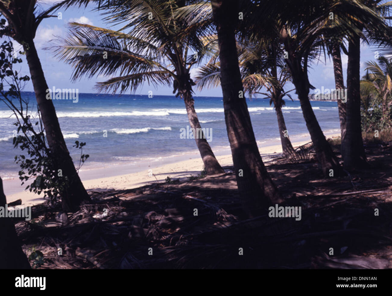 1970s beach hi-res stock photography and images - Alamy