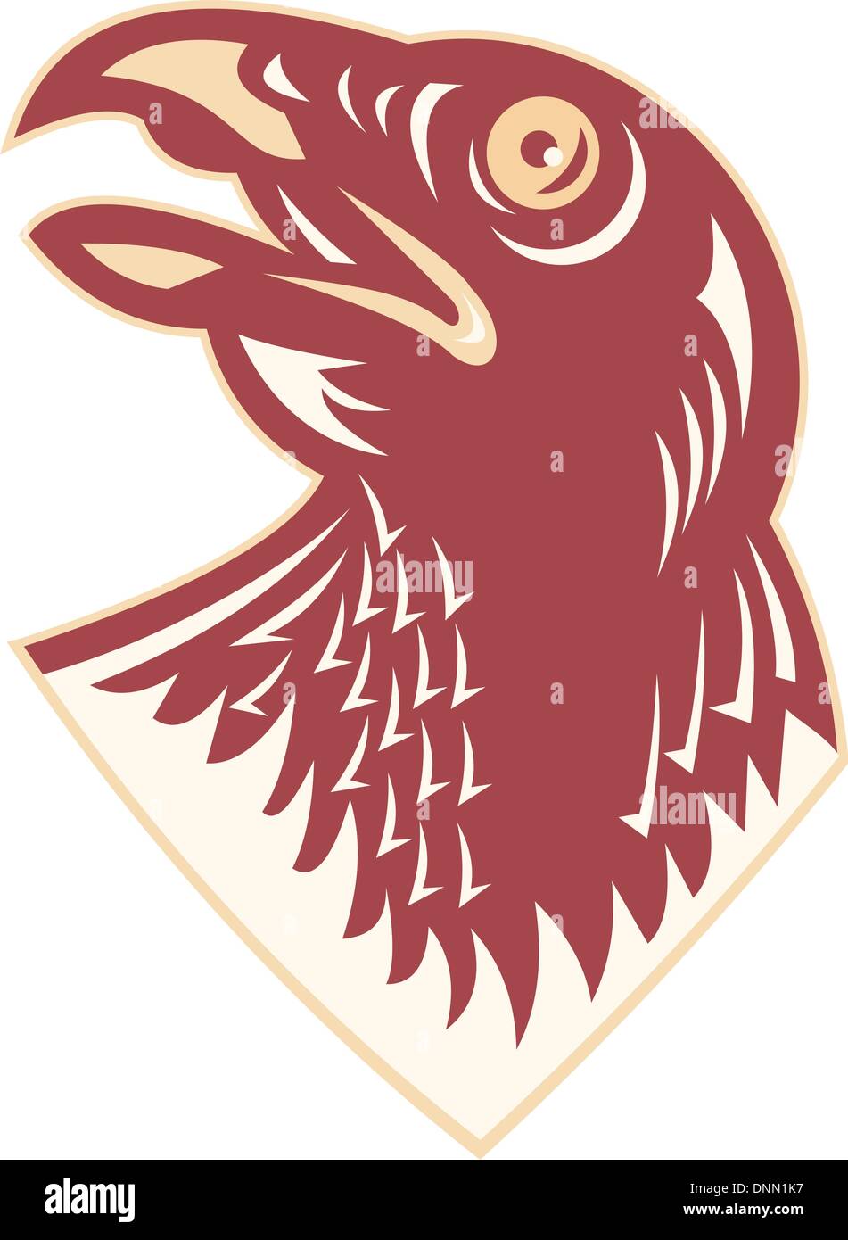 Illustration of a hawk falcon head looking up on isolated white ...