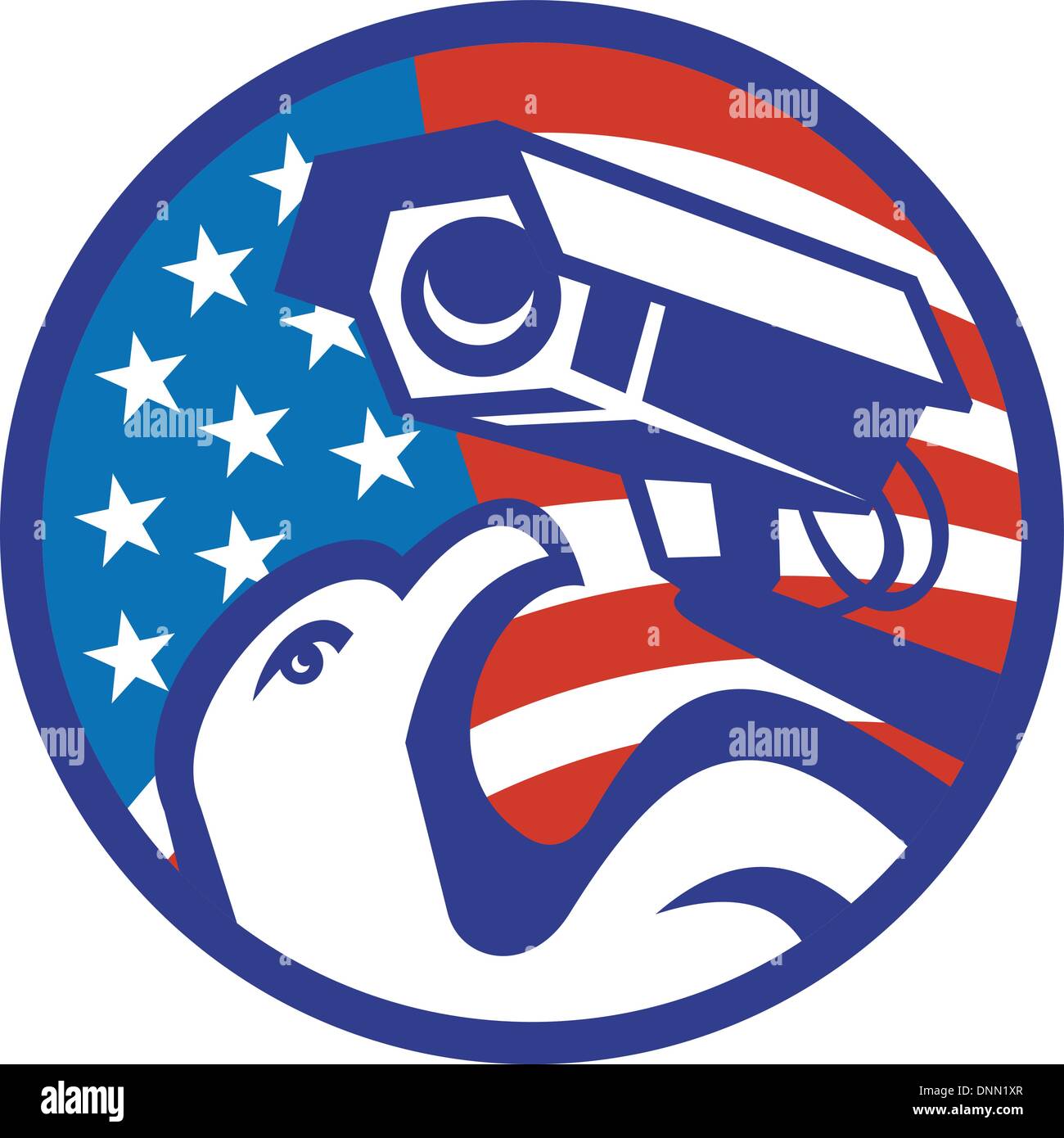 Flagpole Eagle Camera