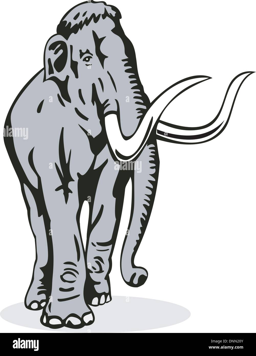Charging elephant illustration hi-res stock photography and images - Alamy