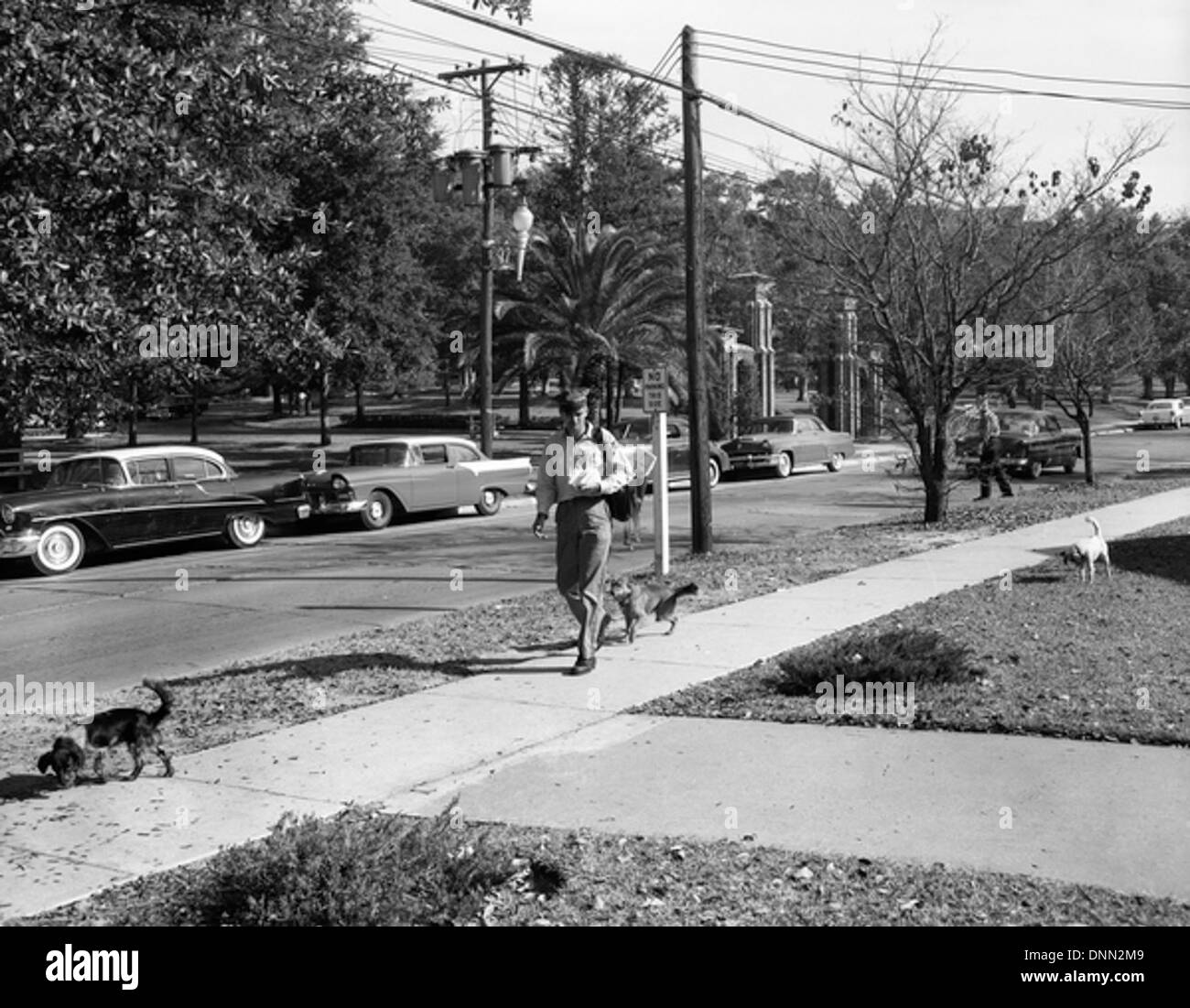 Delivery and 1950s hi-res stock photography and images - Alamy