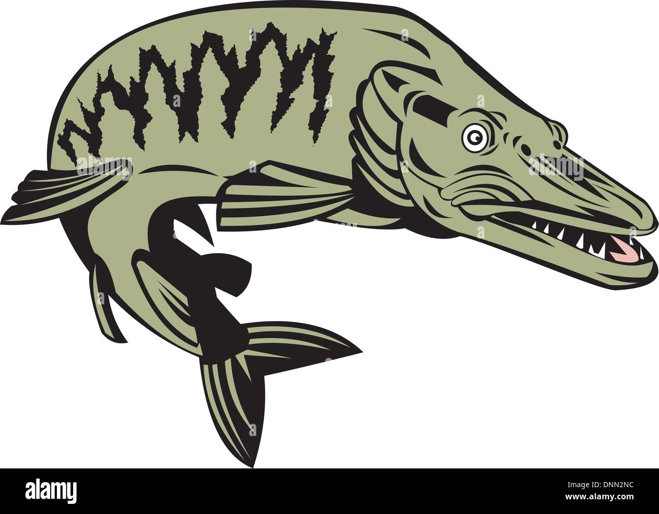 Muskie fish hi-res stock photography and images - Alamy