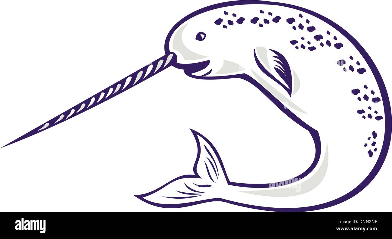 illustration of narwhal Monodon monoceros unicorn whale witjh straight ...